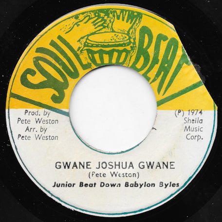Gwaan Joshua Gwaan / Wrenk And Forward Ver – Lion Vibes