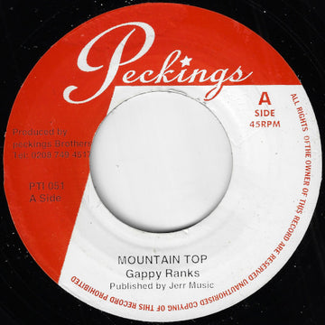 Lion Vibes your one stop shop for New and Vintage Reggae Vinyl