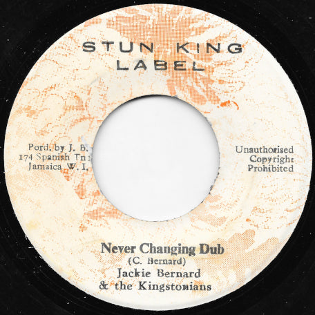 Never Changing Harmony / Never Changing Dub – Lion Vibes