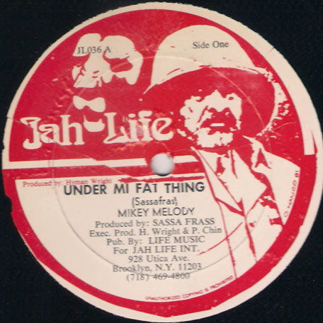 Under Mi Fat Thing / Reggae Music – Lion Vibes